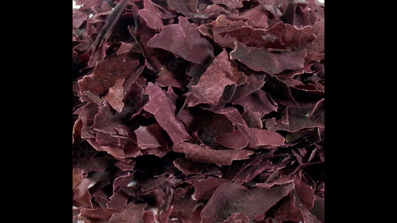 Dulse 101 - Nutrition and Health Benefits - YouTube