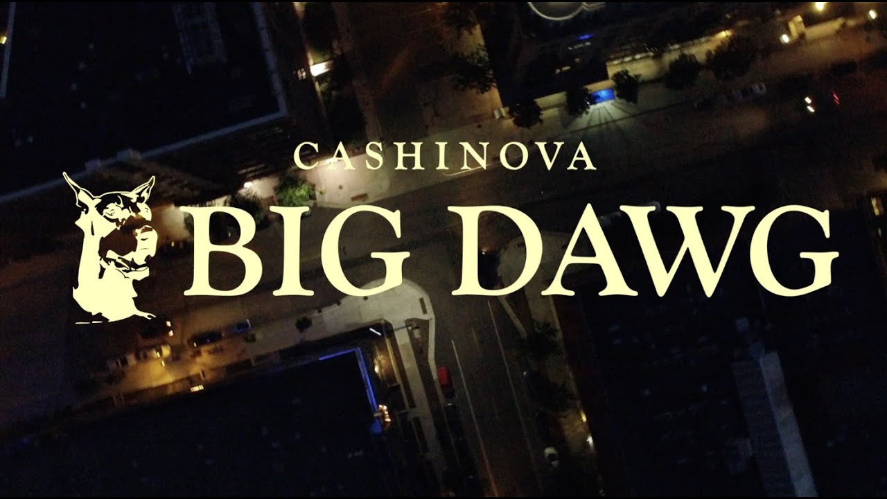 Cashinova - Big Dawg (Official Video) - YouTube Music