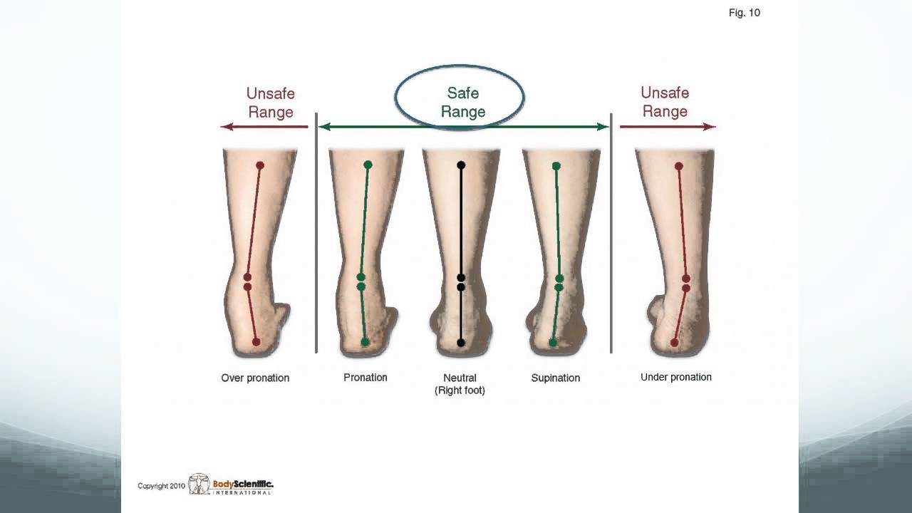 Biomechanics of Running - YouTube