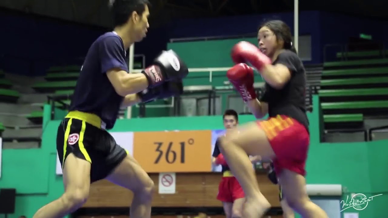 The best of World Sanda - YouTube