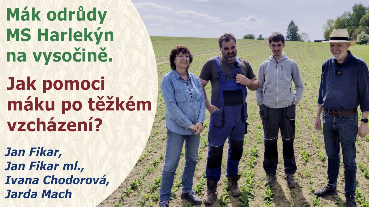 Mák MS Harlekýn | Radostín | Jan Fikar, Jan Fikar ml., Ivana Chodorová ...