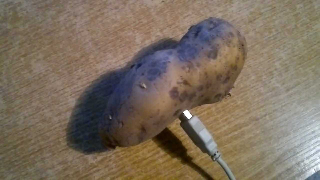 How to connect a POTATO to USB - YouTube