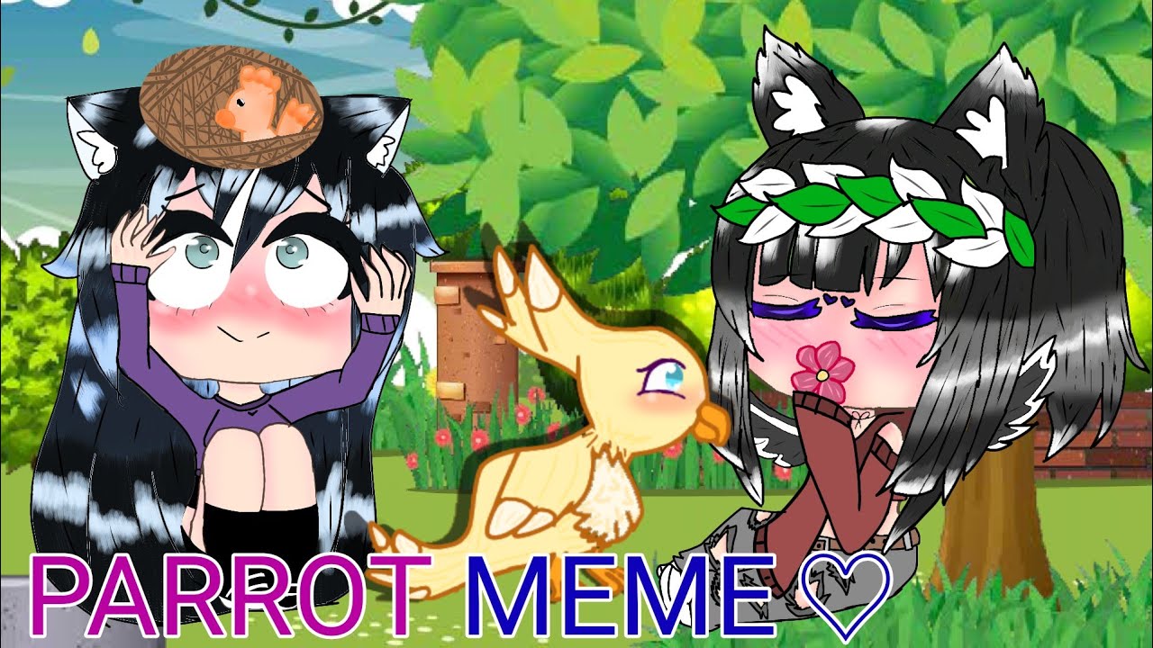 🧡Parrot meme🧡//Gacha life Mep// Ww Yuii - YouTube
