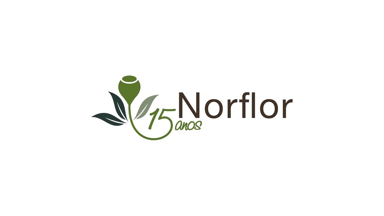 Norflor 15 Anos - YouTube