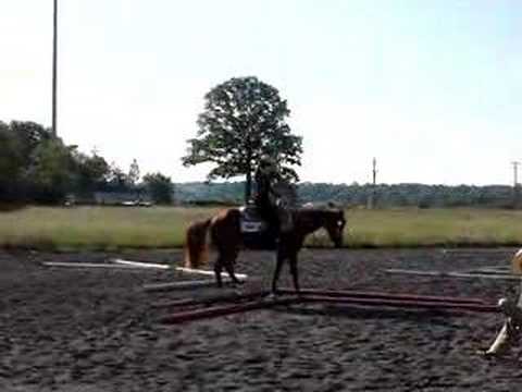 AQHA Trail - YouTube