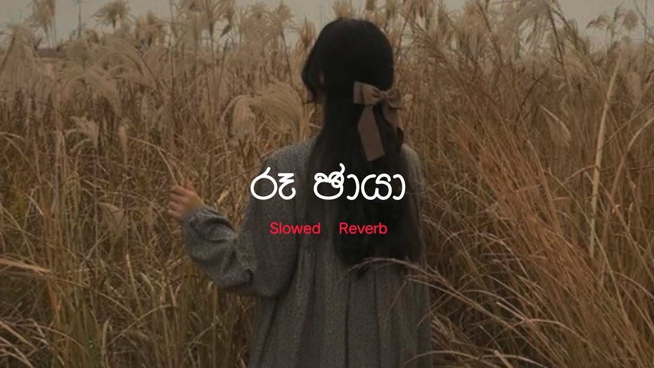 Roo Chaya ( Slowed + Reverb ) 💗 ! - YouTube