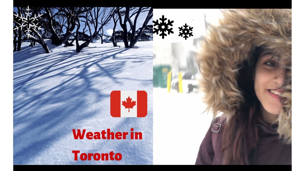 Weather in Toronto | Snow Storm | Rinni Sharma - YouTube