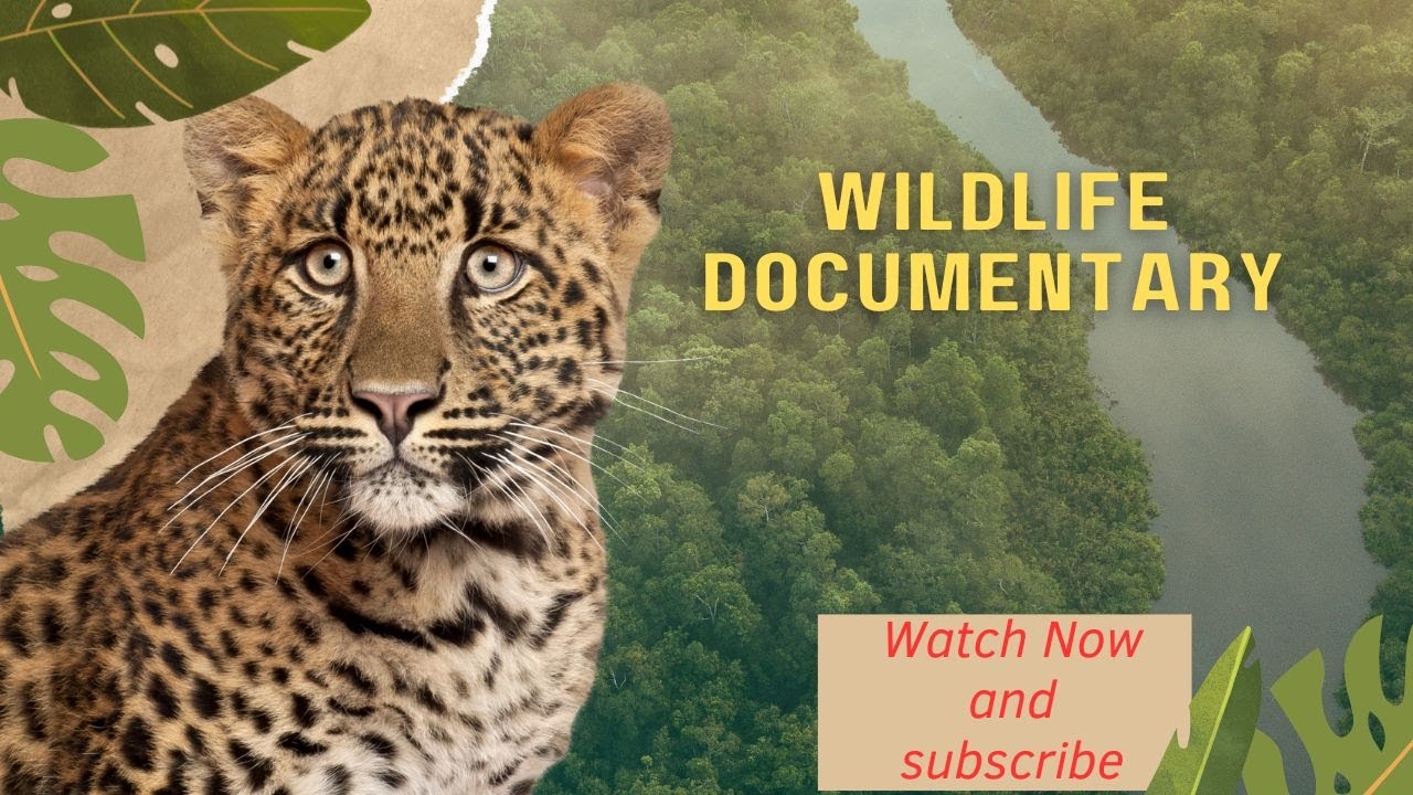 wildlife documentary - YouTube
