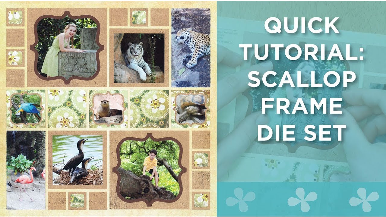 Quick Tutorial: Scallop Frame Die Set - YouTube