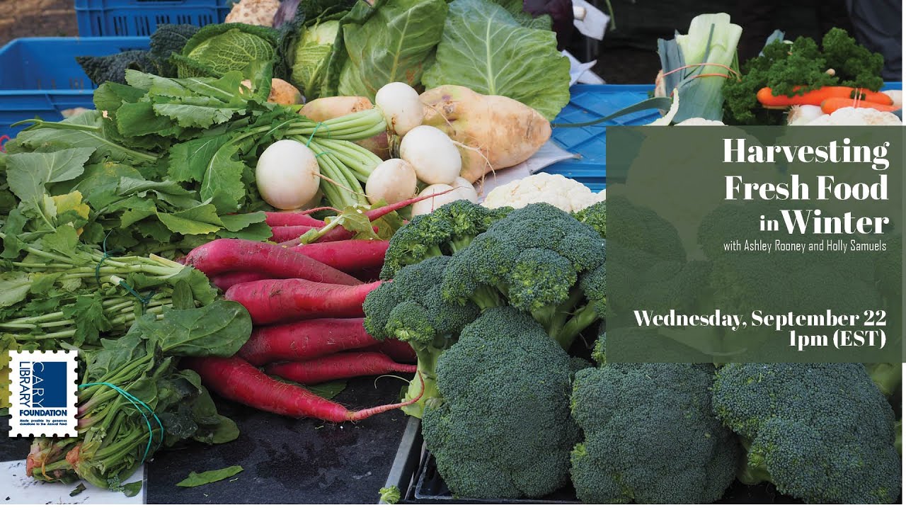 Harvest Fresh Food in the Winter with Holly Samuels and Ashley Rooney ...