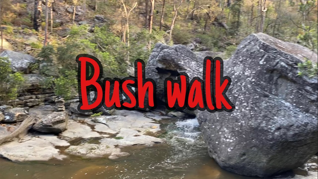Out for a bush walk - YouTube