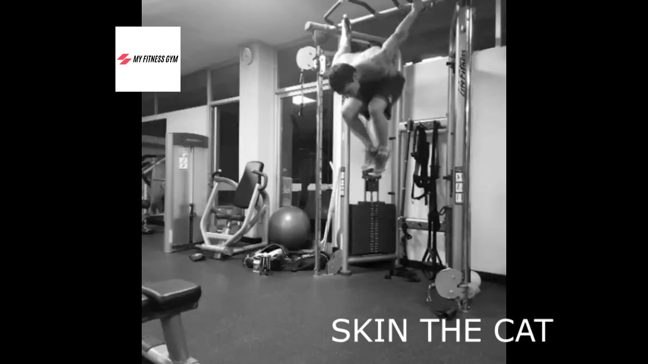 Como hacer Skin the cat en barra | My Fitness Gym - YouTube
