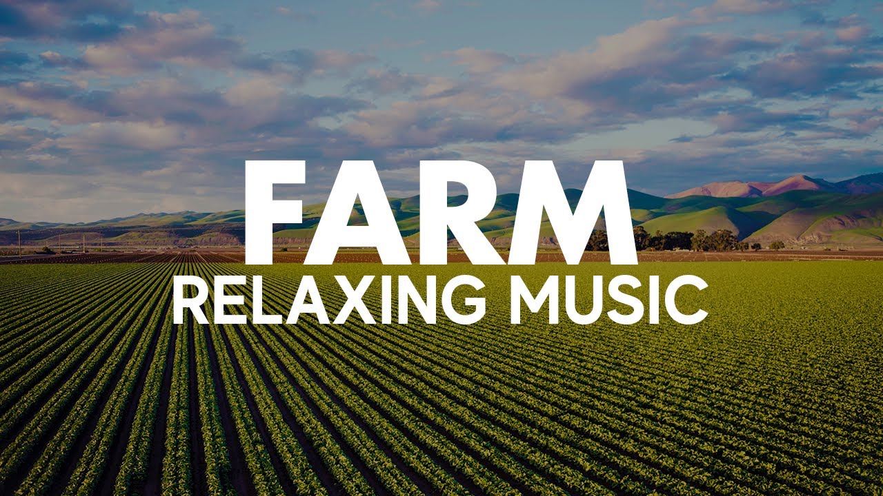 Relaxing Farm Animal | Farm Ambience Domestic Animals | Calming Farm ...