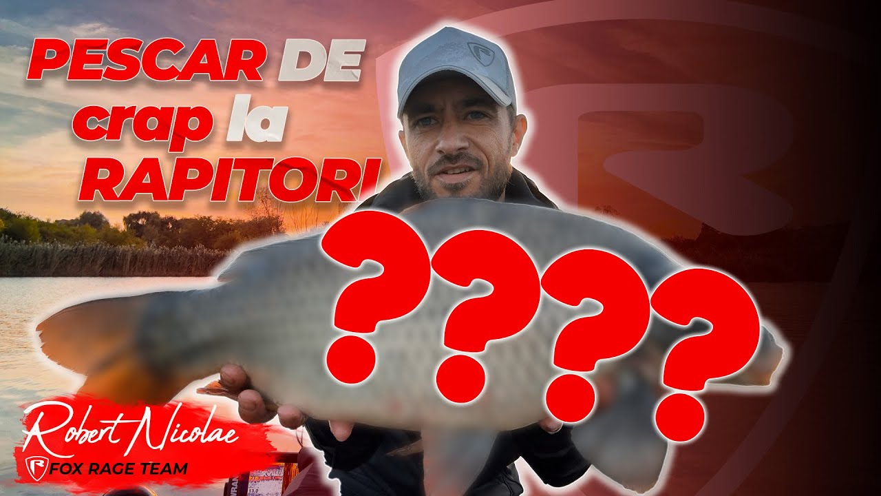 Ce se intampla cand un pescar de crap merge la pescuit de rapitori ...