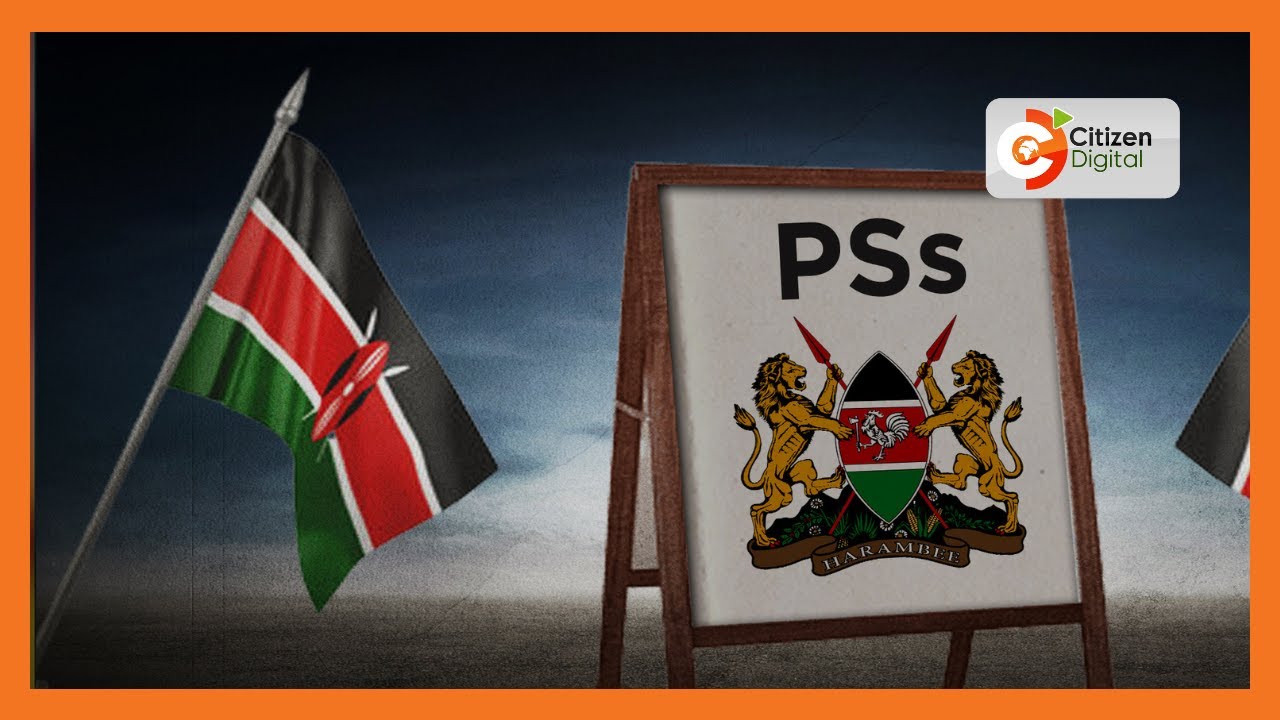 Approval hearings for PSs begin at parliament - YouTube