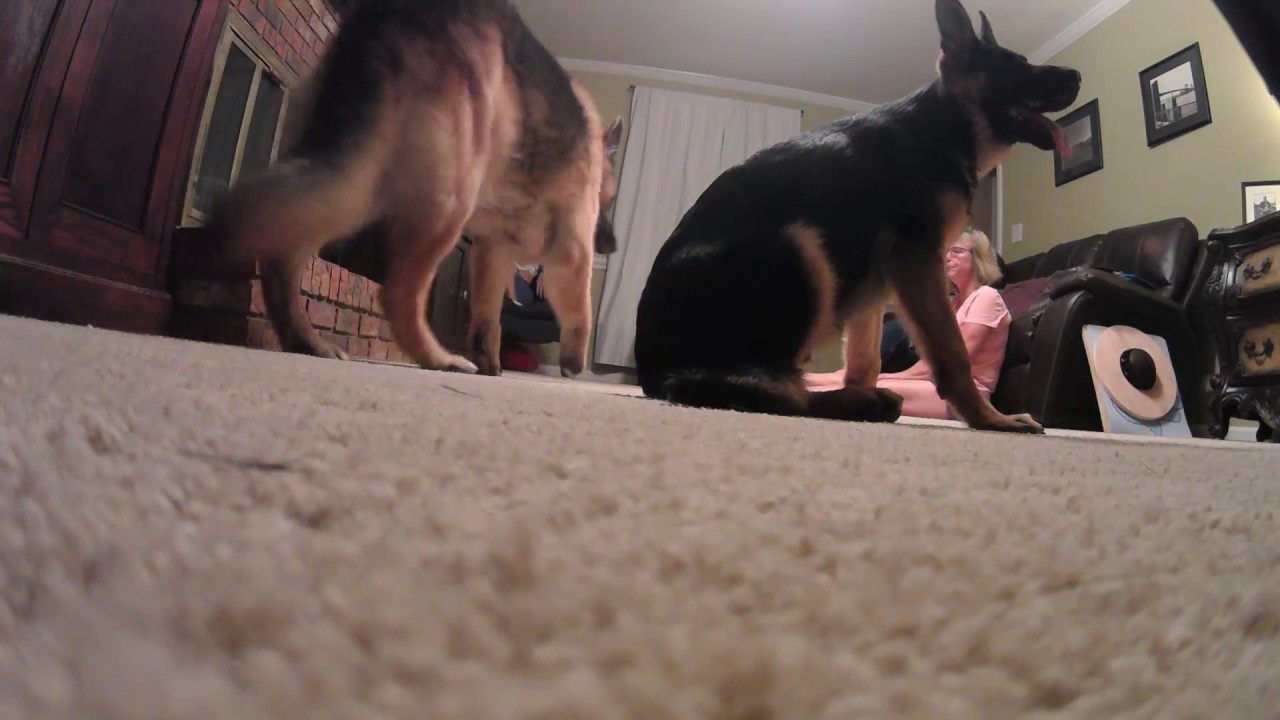View From The Floor - YouTube