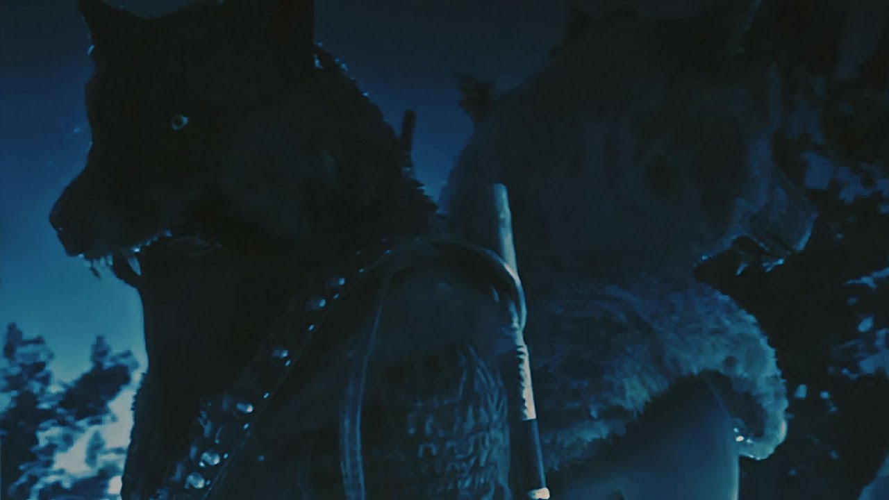 【RDO】#The wolf who wanted to be pampered🐺🍖【レッドデッドオンライン】 - YouTube