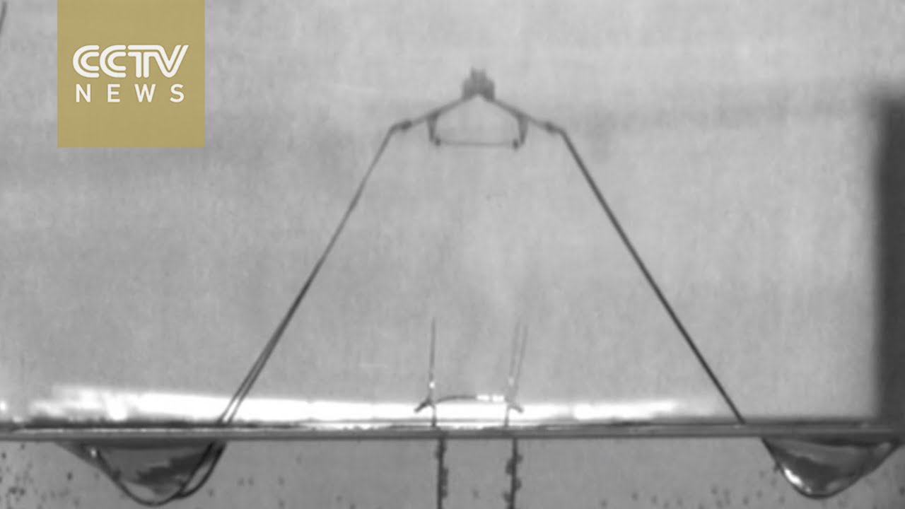 Scientists create insect robots that walk on water - YouTube