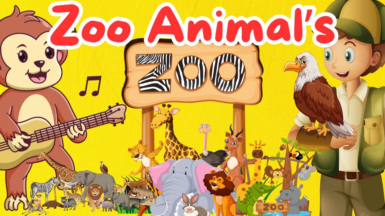 Meet Amazing Zoo Animals | Learning Educational Video For Toddlers ...