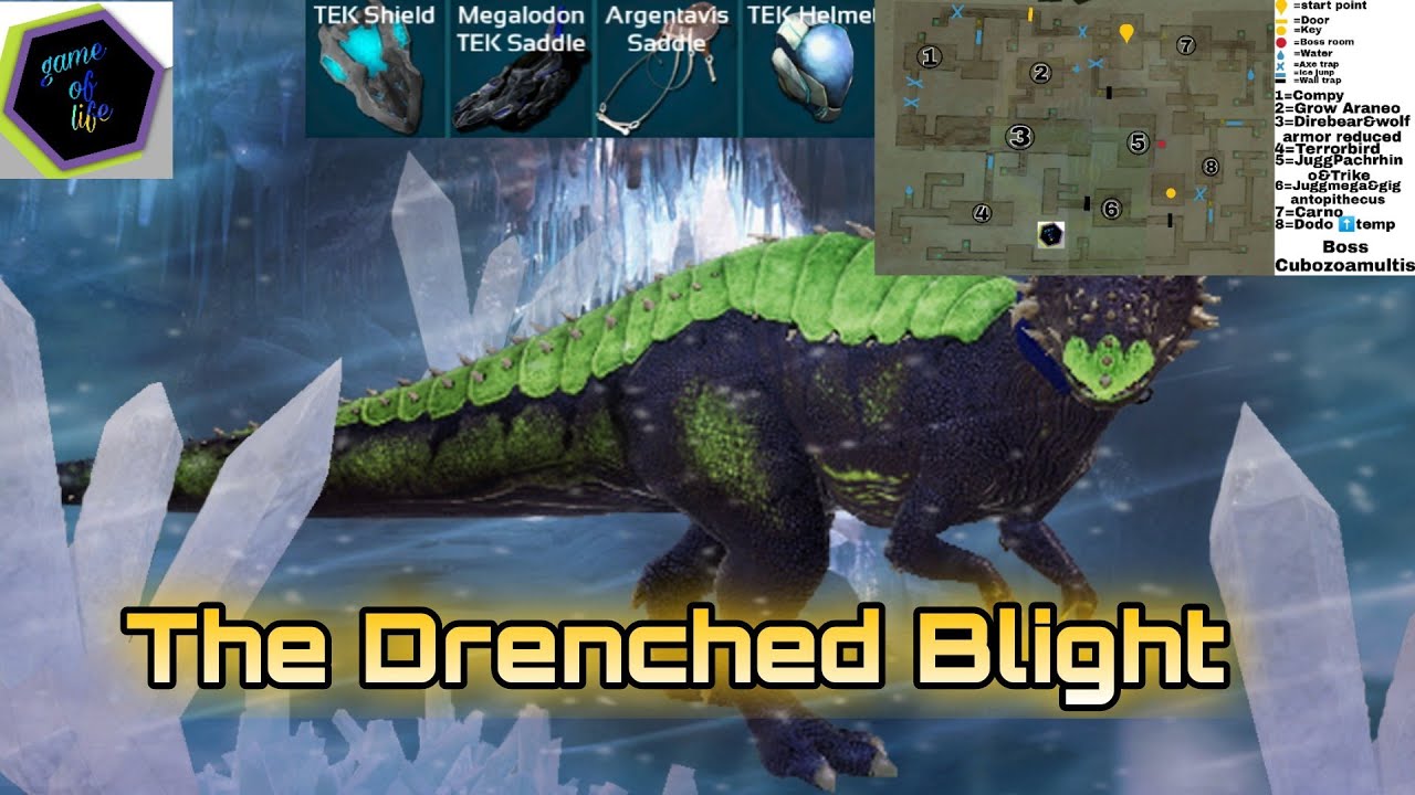 The Drenched Blight|Dungeon map in my Discord|Arkmobile| - YouTube