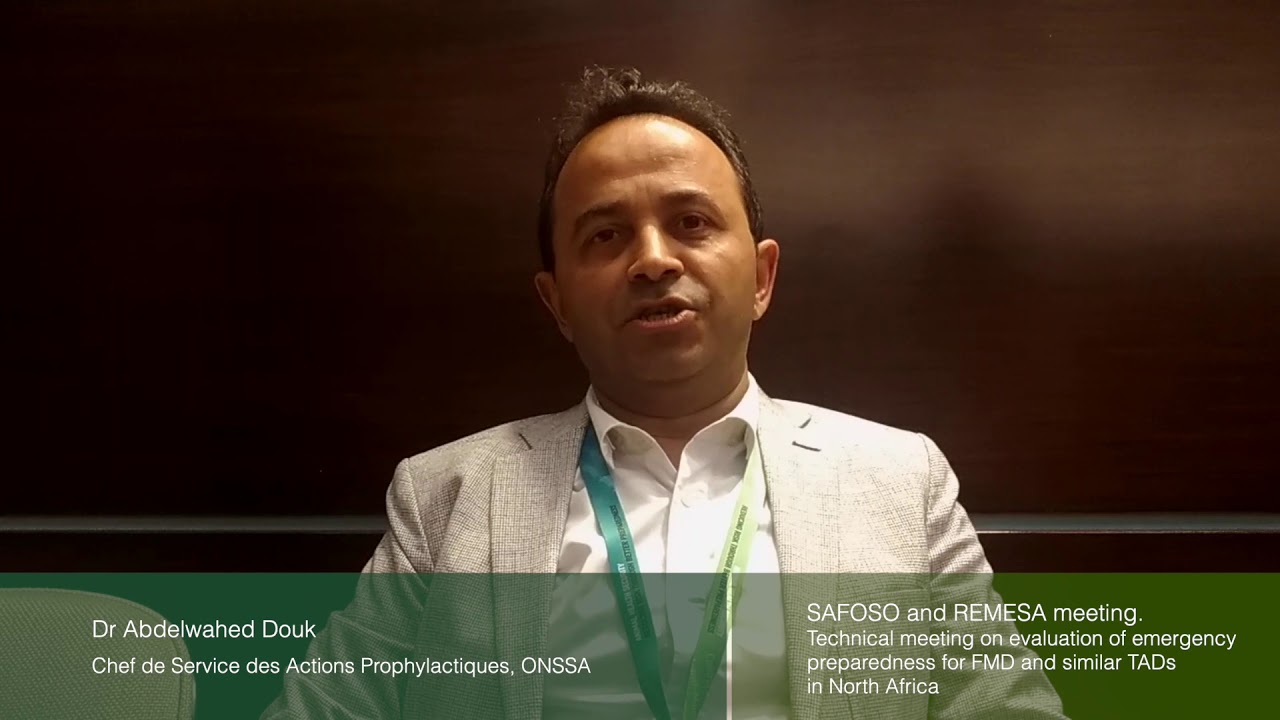 Interview with Dr Abdelwahed Douk - YouTube