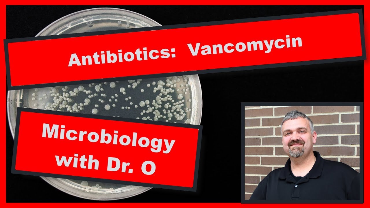 Vancomycin and VRE: Microbiology - YouTube