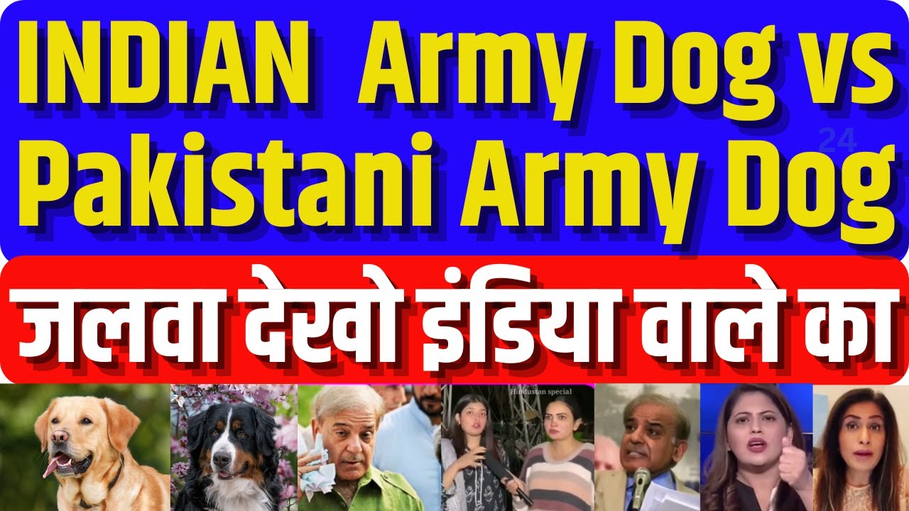 INDIAN Army Dog vs Pakistani Army Dog, जलवा देखो इंडिया वाले का ...