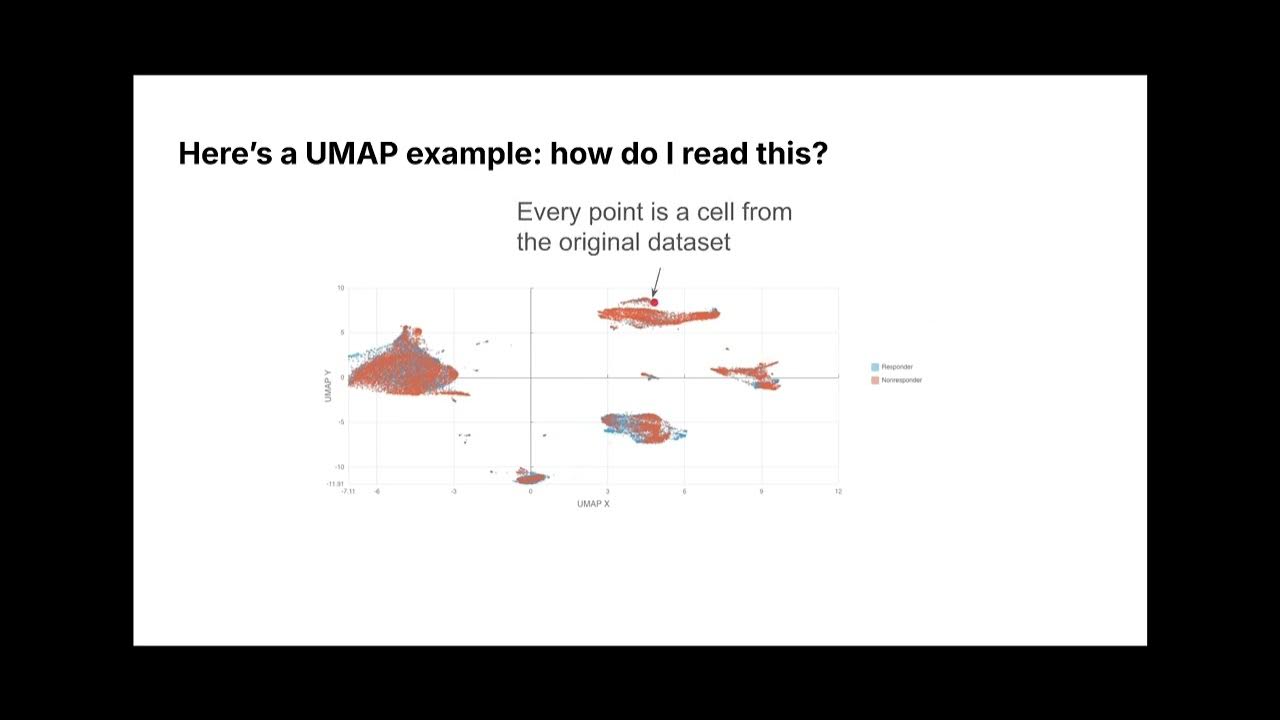 UMAP Basics for Cytometry - YouTube