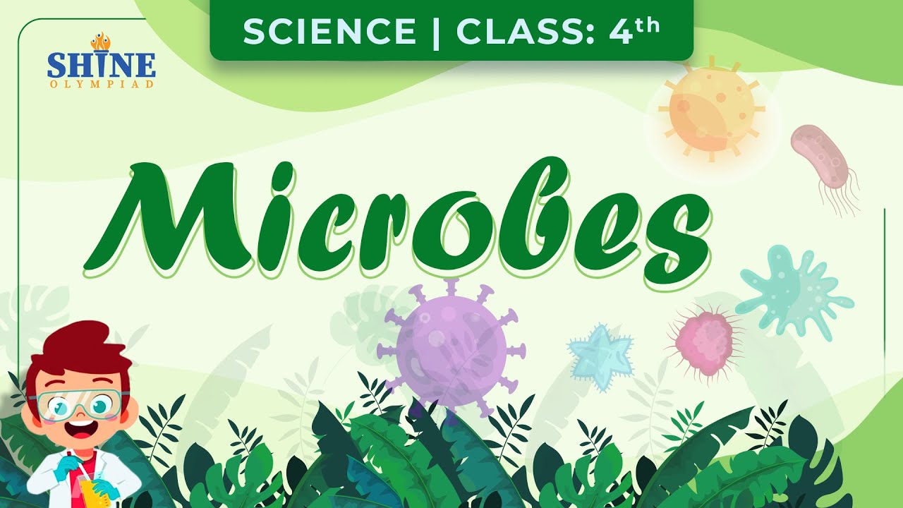 Microbes: What are they, and what do they do? Science Class 4 #science ...