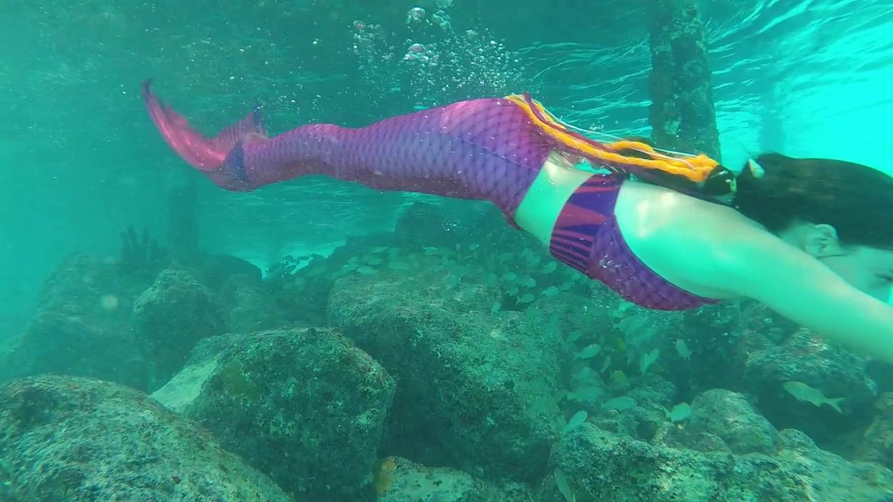 THE2tails real mermaids mermaid tail h2o just add water mako mermaids ...