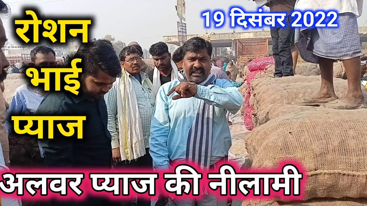 प्याज के भाव में देखी कुछ तेजी, alwar Onion Mandi Rajasthan। pyaz Price ...