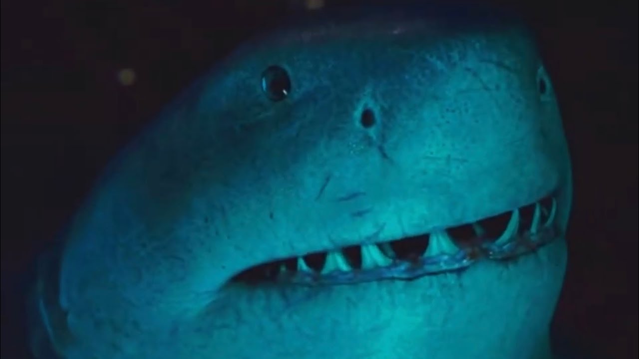 NEW DUMB FRIENDS! King shark - YouTube