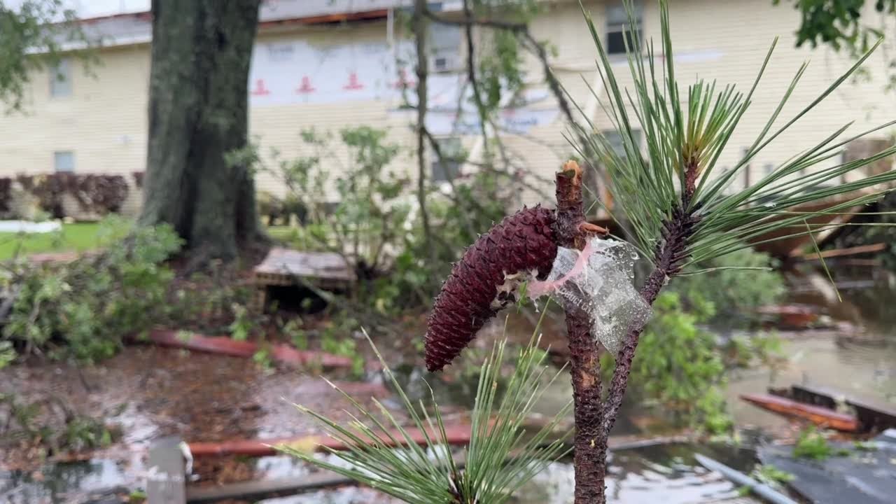 Storm damage in Slidell, Louisiana - YouTube