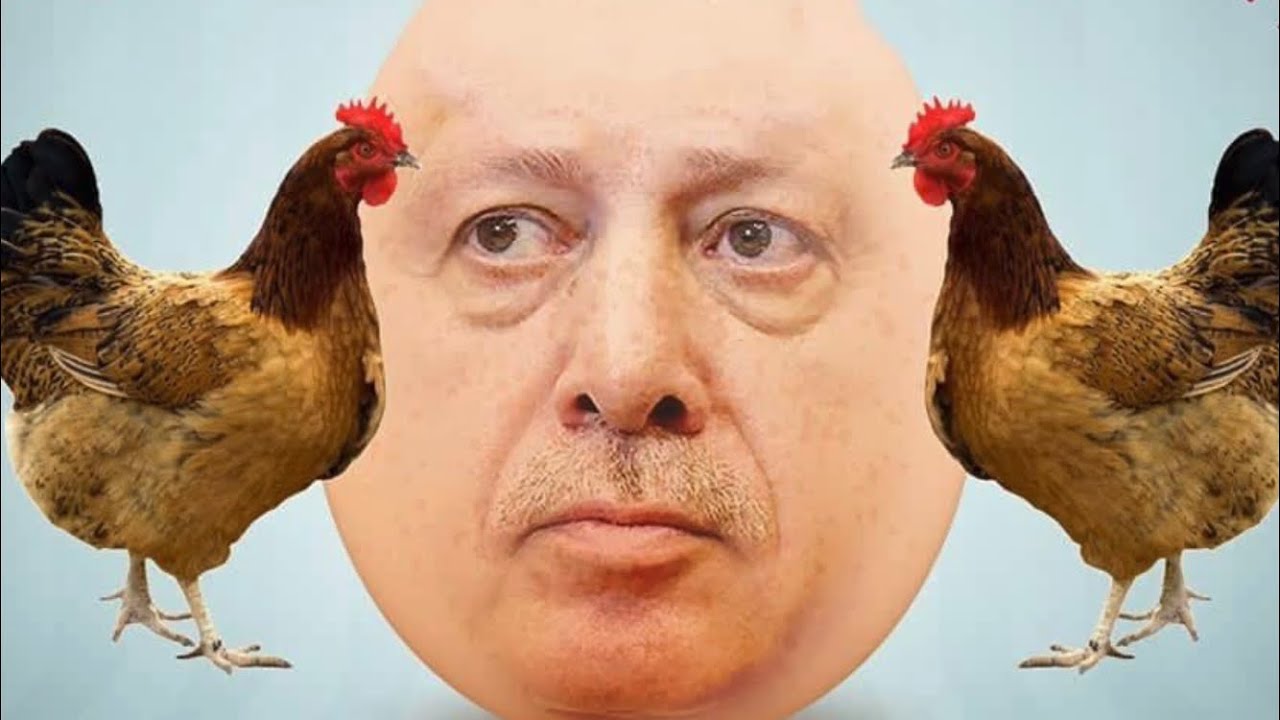 Tayeb Rajab & Sons Eggs and Poultry Corporation - YouTube