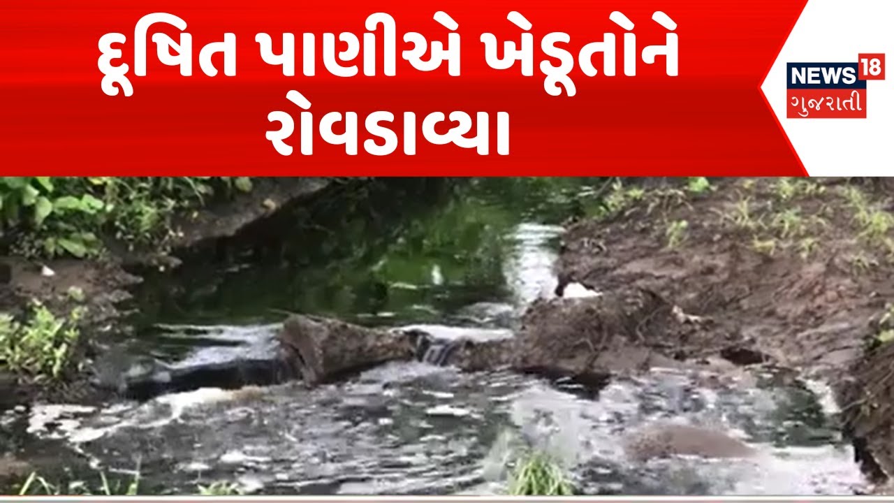 Navsari Farmers News : દૂષિત પાણીએ ખેડૂતોને રોવડાવ્યા | Sugar Factory ...
