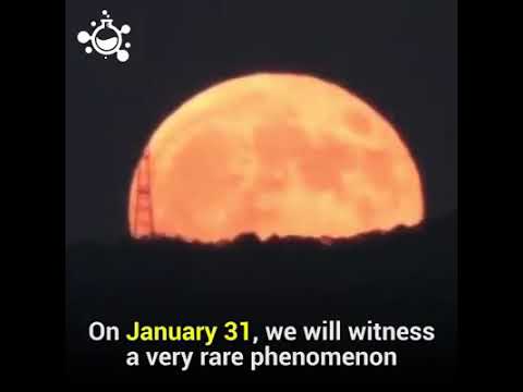 Rarest Event in 150 years - Super Moon,Blood Moon,Blue Moon & Total ...