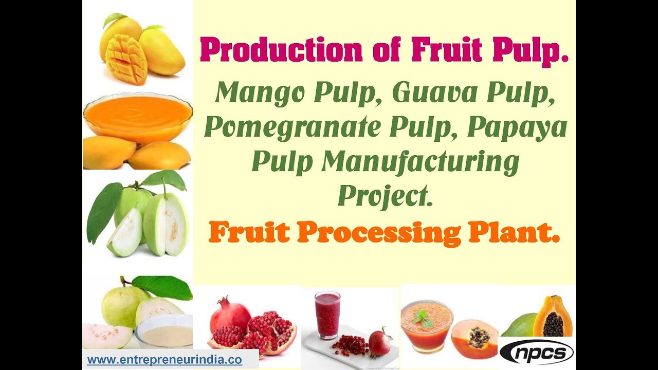 Production Of Fruit Pulp Mango Pulp Guava Pulp Pomegranate Pulp production-of-fruit-pulp-mango-pulp-guava-pulp-pomegranate-pulp