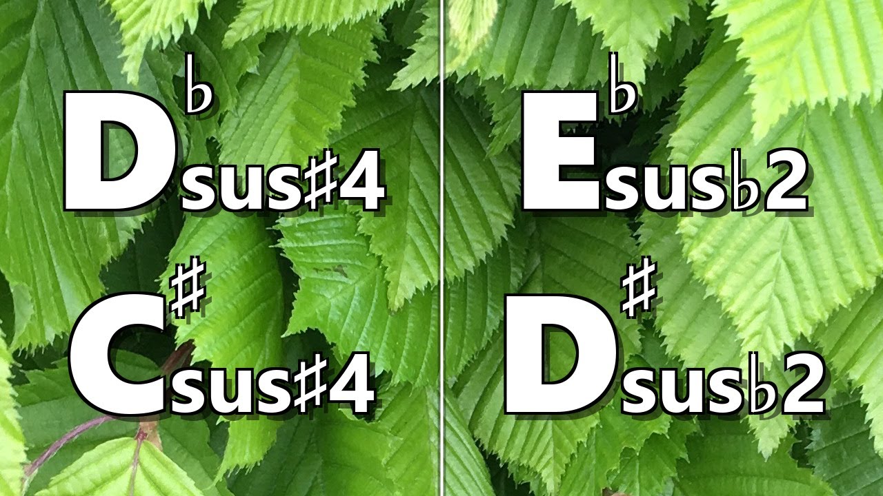 Dbsus #4 (C#sus #4) to Ebsus b2 (D#sus b2) Backing Track - YouTube