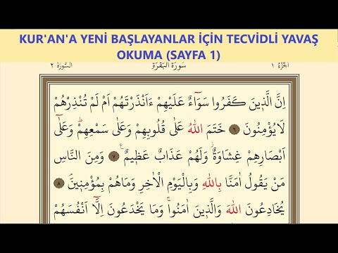 Kur'an'a yeni başlayanlar için tecvidli yavaş okuma (bakara 2.sayfa)