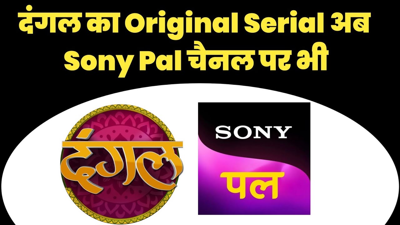 Sony Pal Channel Logo