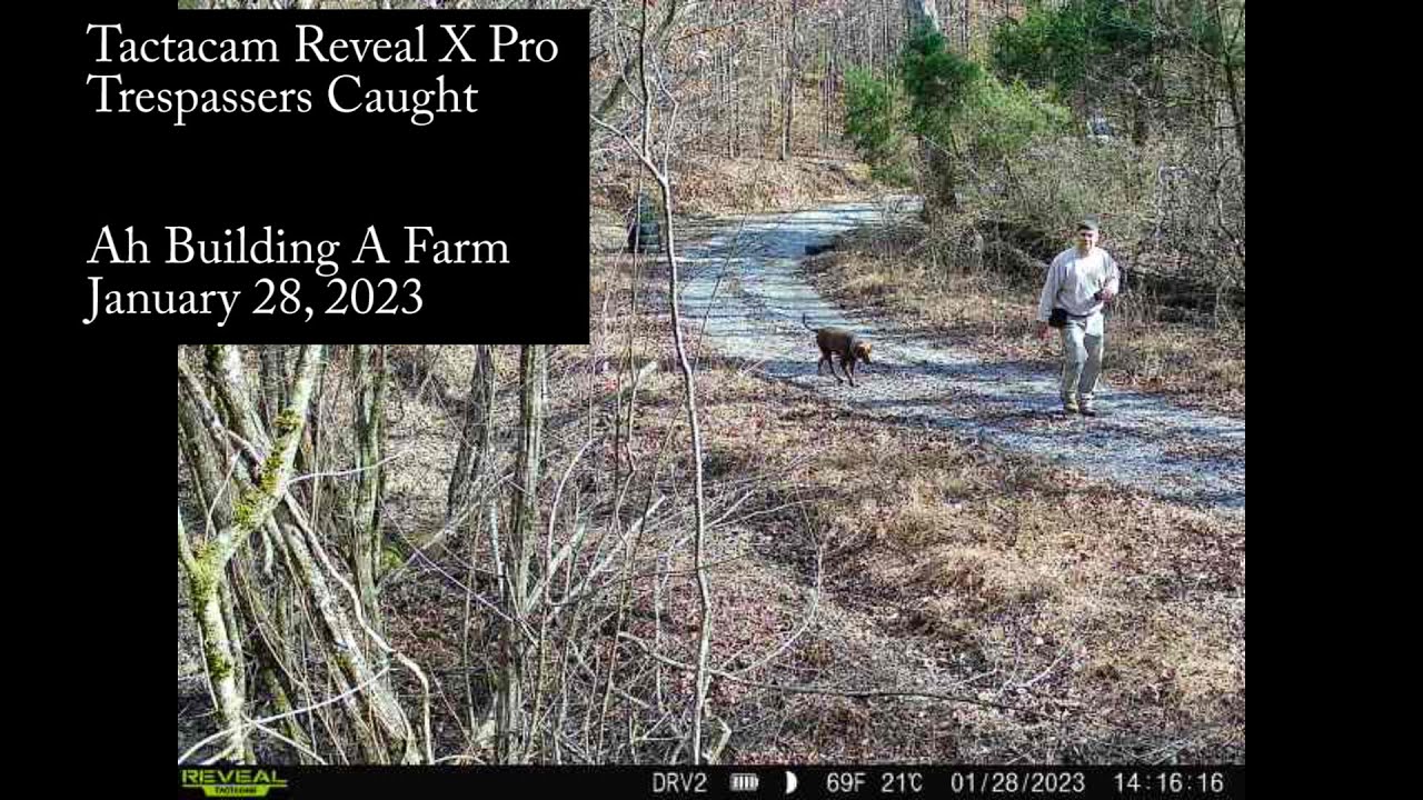 Tactacam Reveal X Pro catches multiple trespassers on the property at ...