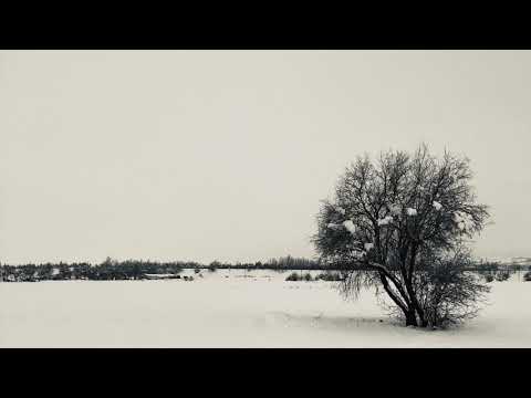 Elif Aybike | Hüzün Kovan Kuşu (Düş Sokağı Sakinleri)