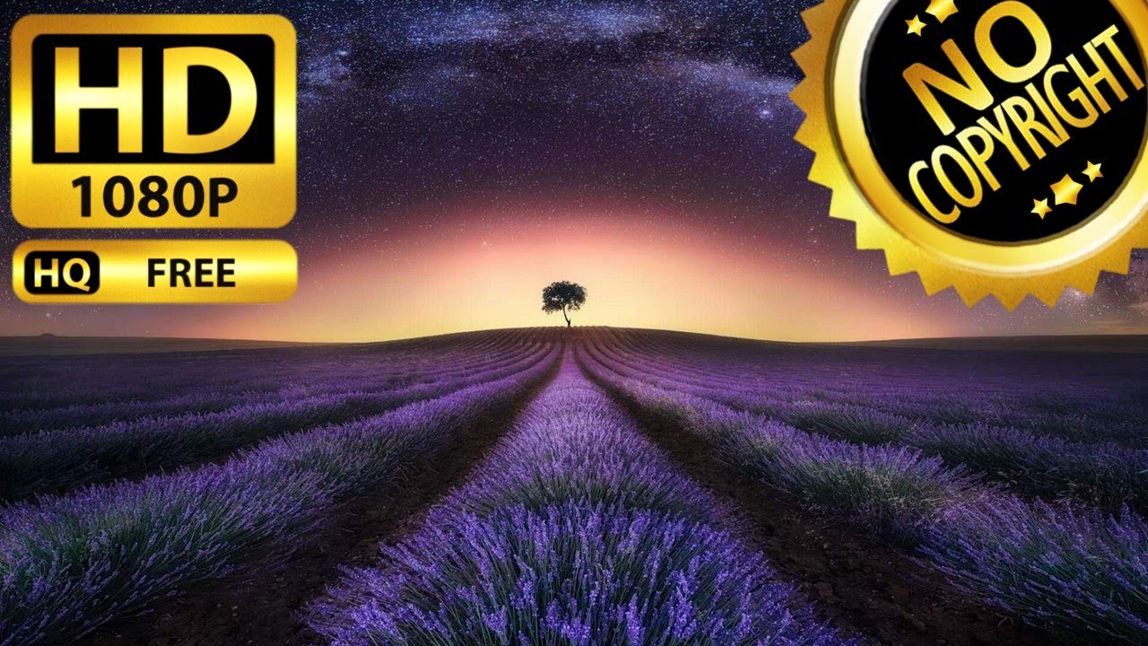 [HD] 10 Flowers Thumbnails for Relaxing Music Videos | FREE | HIGH ...