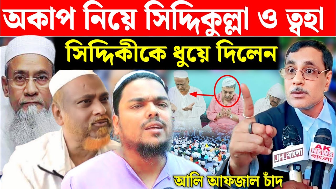 Ali Afjal: আব্বাস নওশাদ বাঘের বাচ্চা? সিদ্দিকুল্লা ও তোহা সিদ্দিকীকে ...