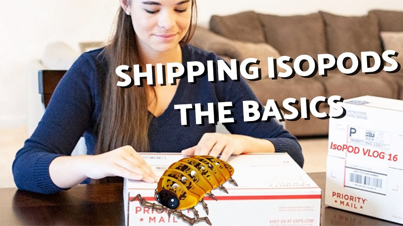 How To Ship Isopods - YouTube