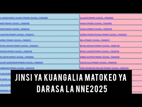 Jinsi Ya Kuangalia Matokeo Ya Darasa La Nne 2025