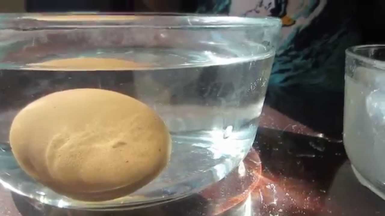 Dead Sea experiment in your kitchen - YouTube
