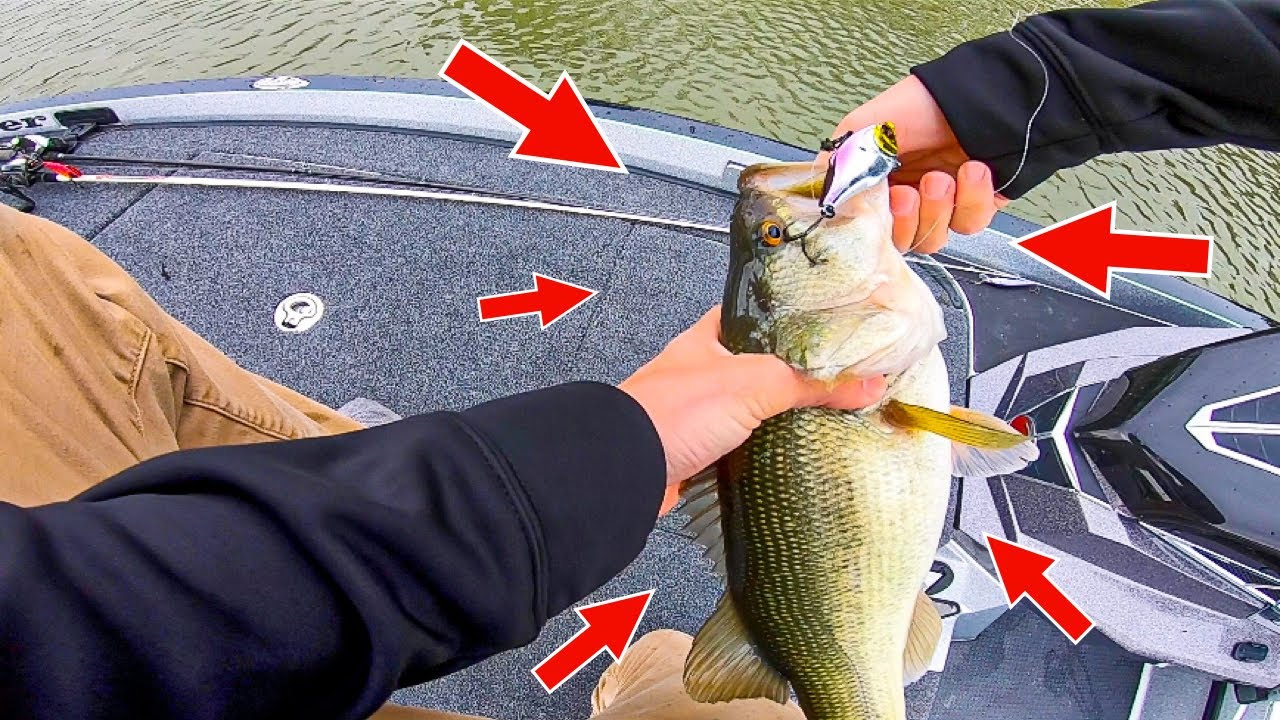 Bass INHALE rattling fishing lure ( STRANGE RESULTS ) - YouTube