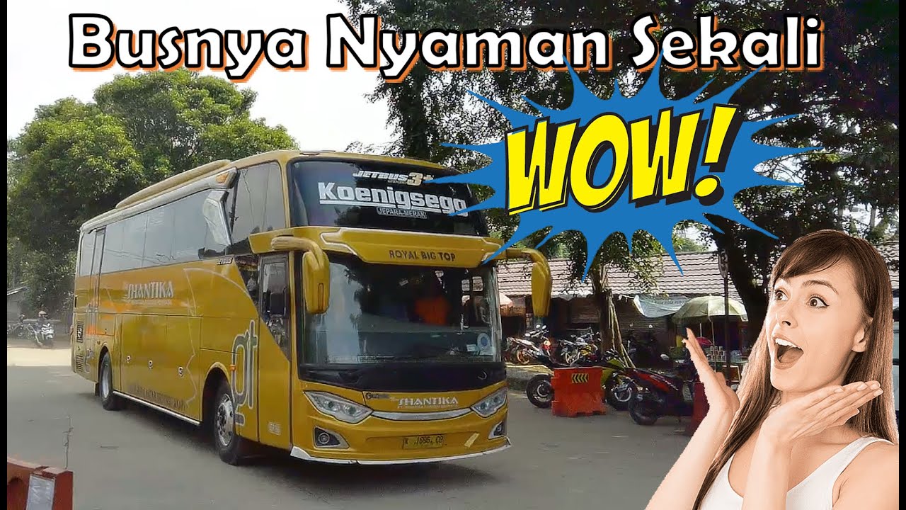 HARGA TIKET BUS NEW SHANTIKA SEMUA RUTE PERJALANAN - YouTube