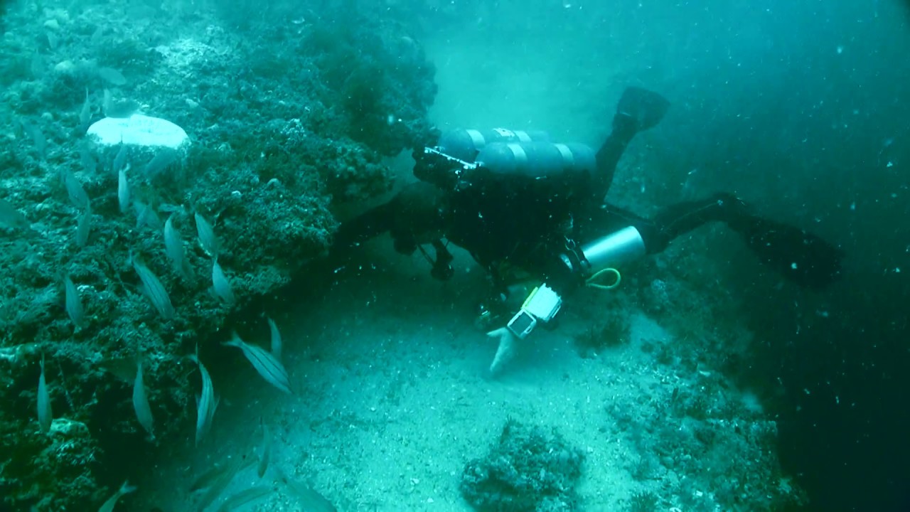 Diving Amberjack Hole in the Gulf of Mexico - YouTube